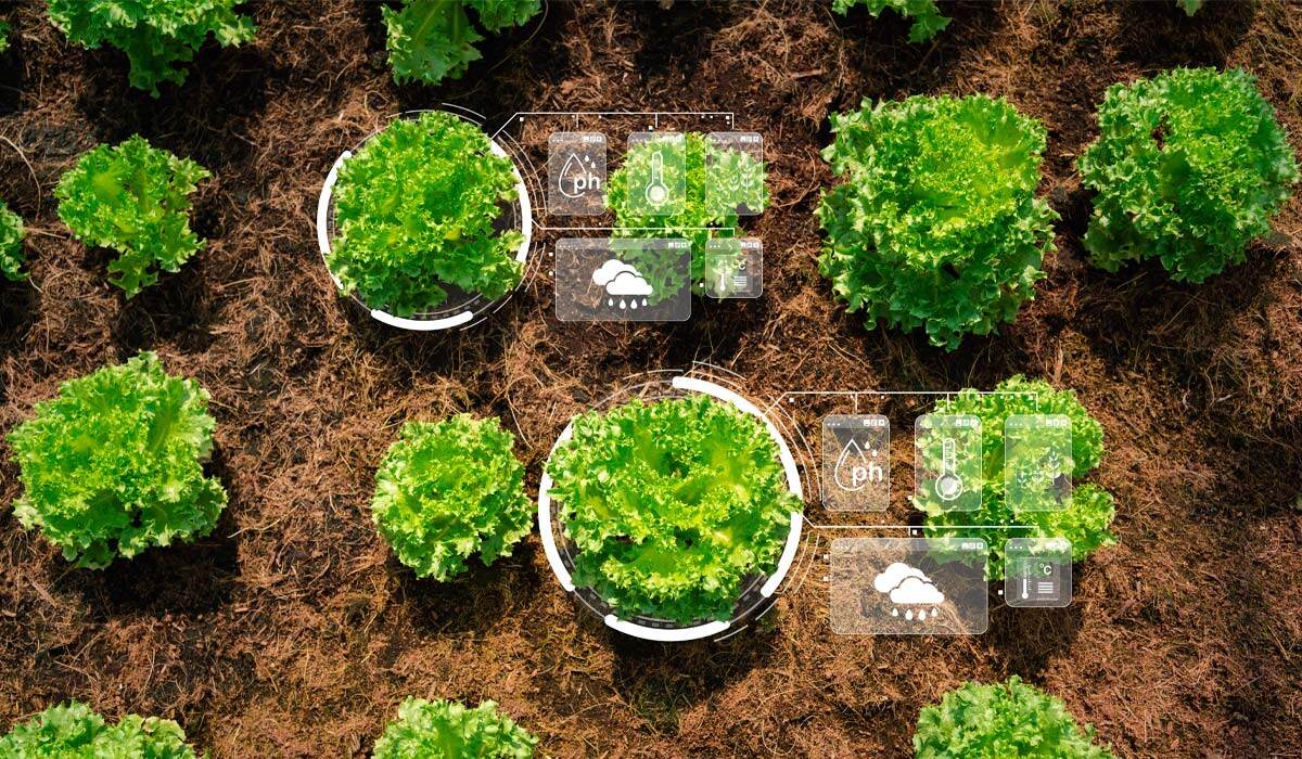 OVSoftware, 100% ontzorging bij IT-beheer